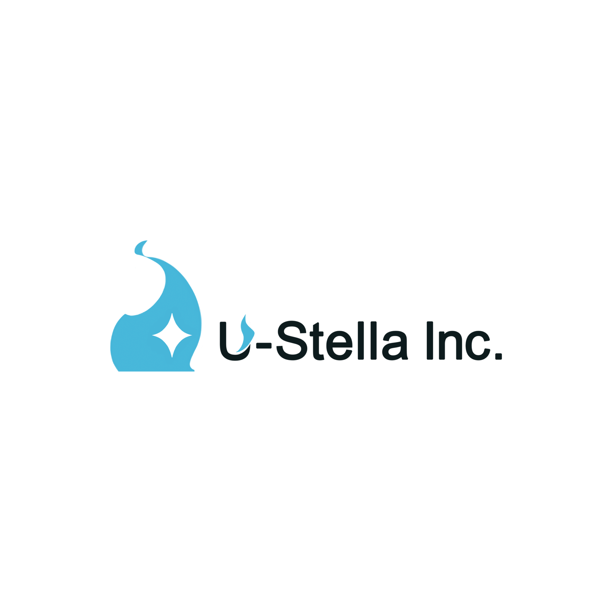 Service – U-Stella Inc.